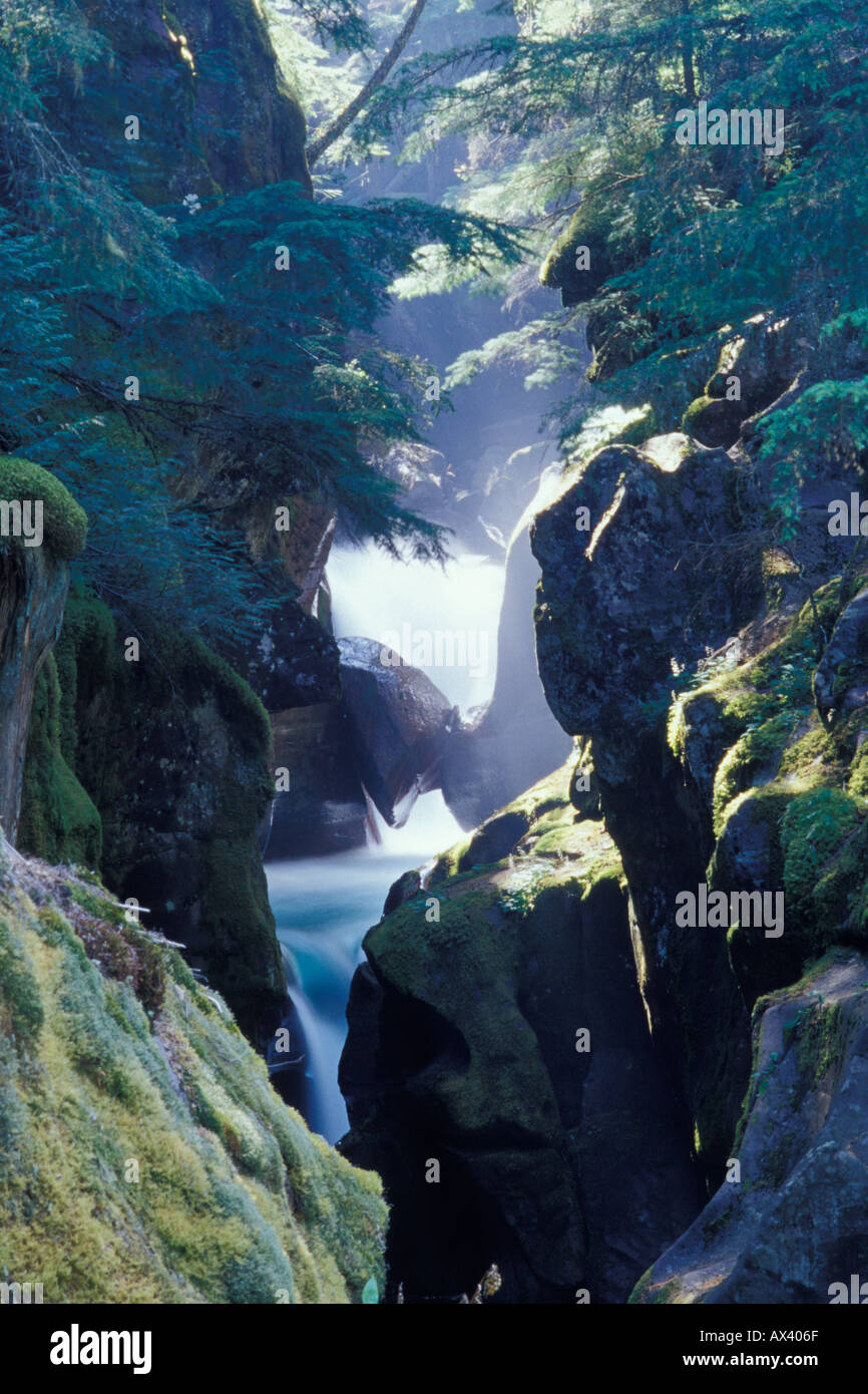 Avalanche Creek Gorge Glacier National park Montana Stock Photo - Alamy
