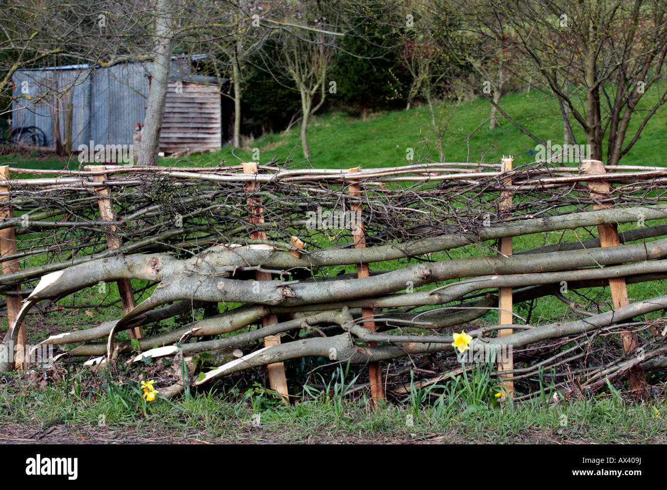 Newly Laid Hedge High Resolution Stock Photography and Images - Alamy