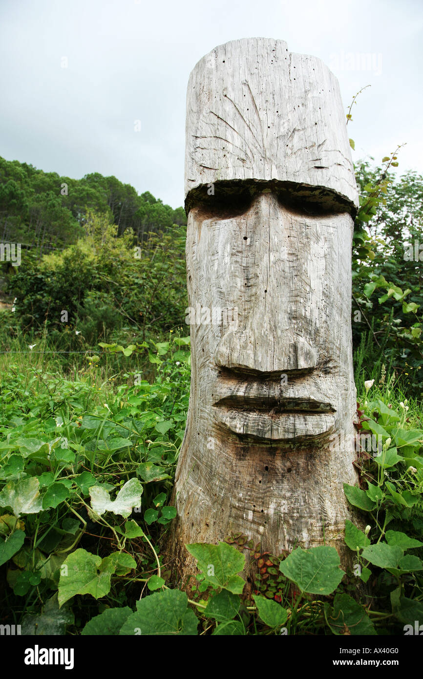 Maori log carving Stock Photo - Alamy