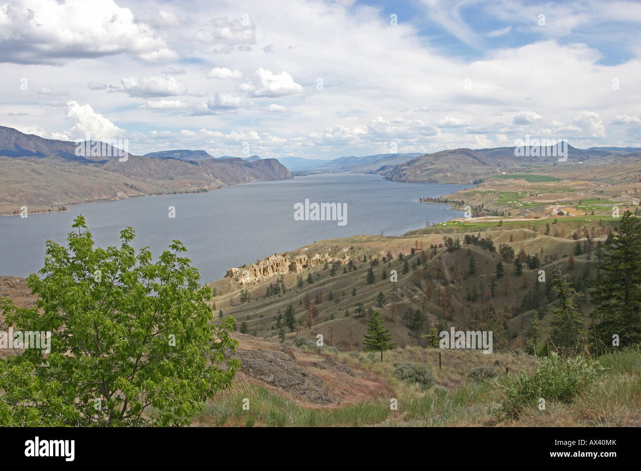 Summer at kamloops lake hi-res stock photography and images - Alamy