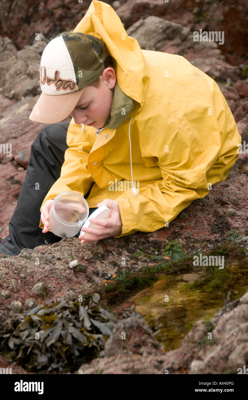 Child collecting rocks hi-res stock photography and images - Alamy