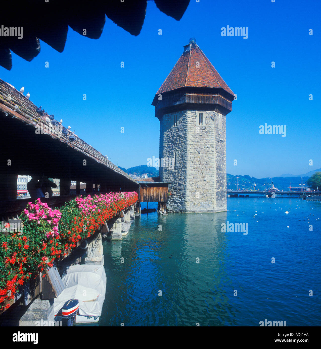 Lucerne Switzerland harbor Stock Photo - Alamy