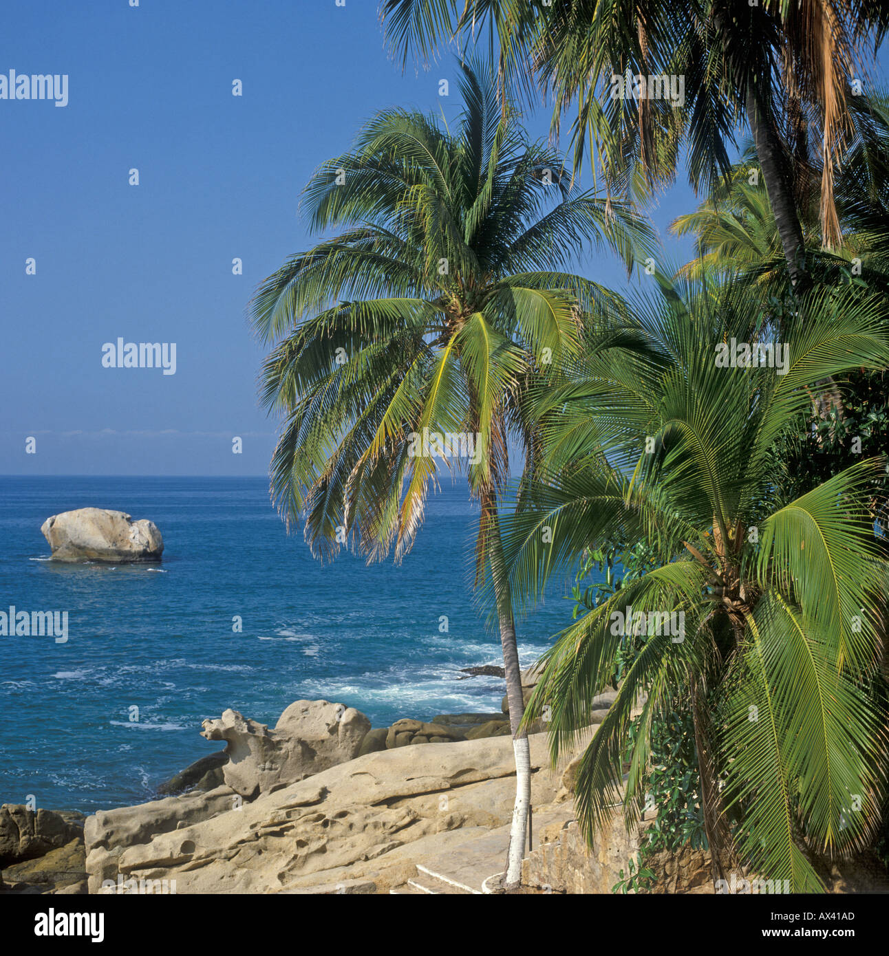 palm trees and beach at Acapulco Mexico Stock Photo - Alamy