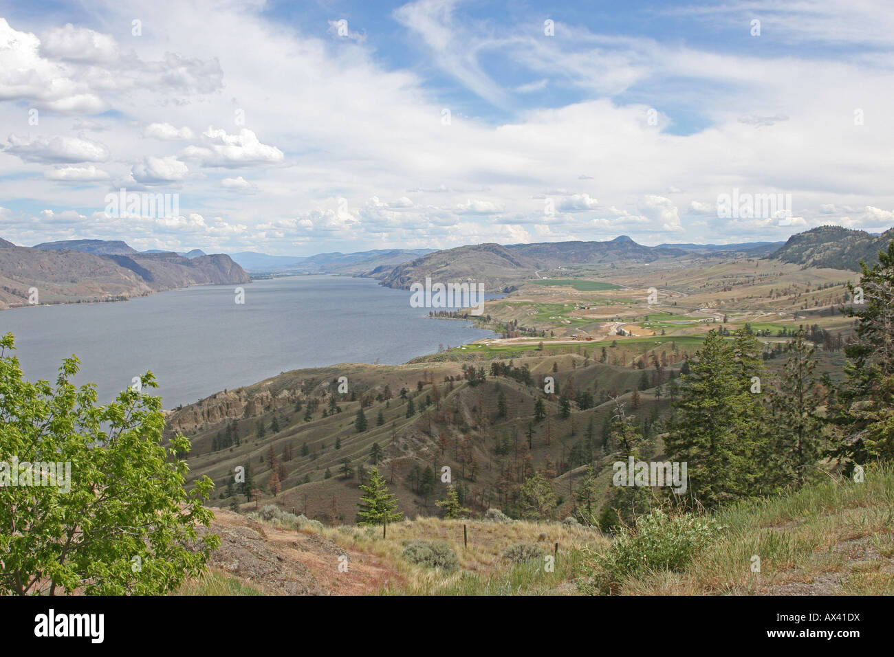 View over Kamloops Lake, British Columbia Stock Photo - Alamy