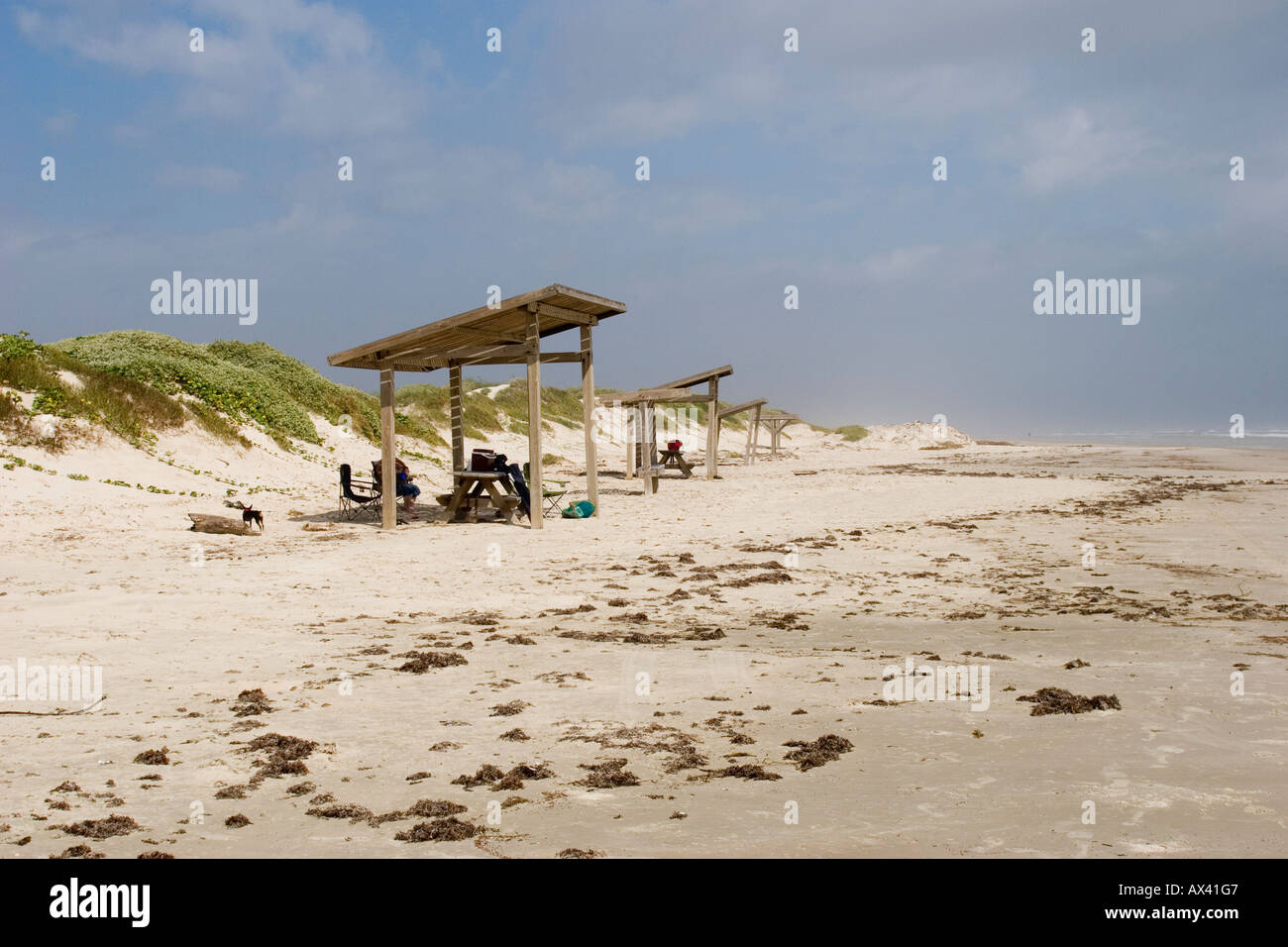 Padre Island National Seashore Park, Padre Island Corpus Christi Texas ...