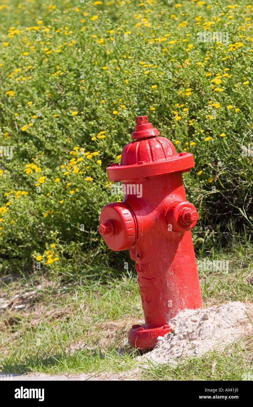 Red te hi-res stock photography and images - Alamy