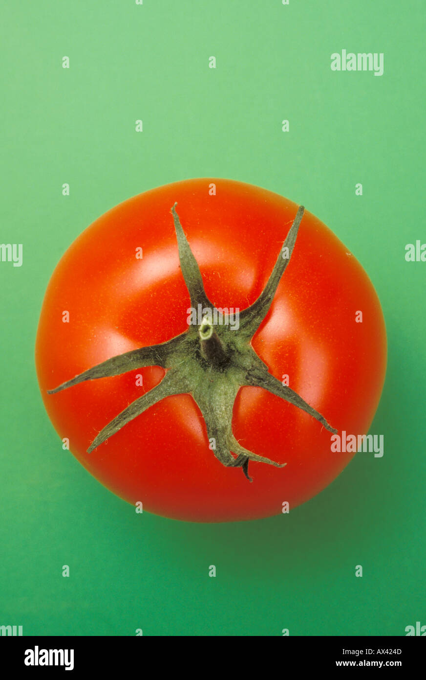 Before and after 103a Tomato QHTK1152 Stock Photo - Alamy