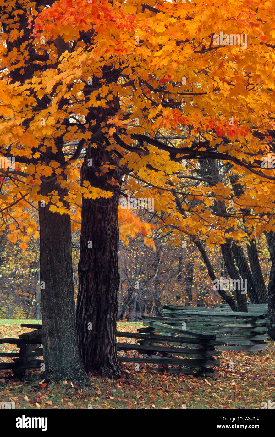 Brown county state park indiana hi-res stock photography and images - Alamy