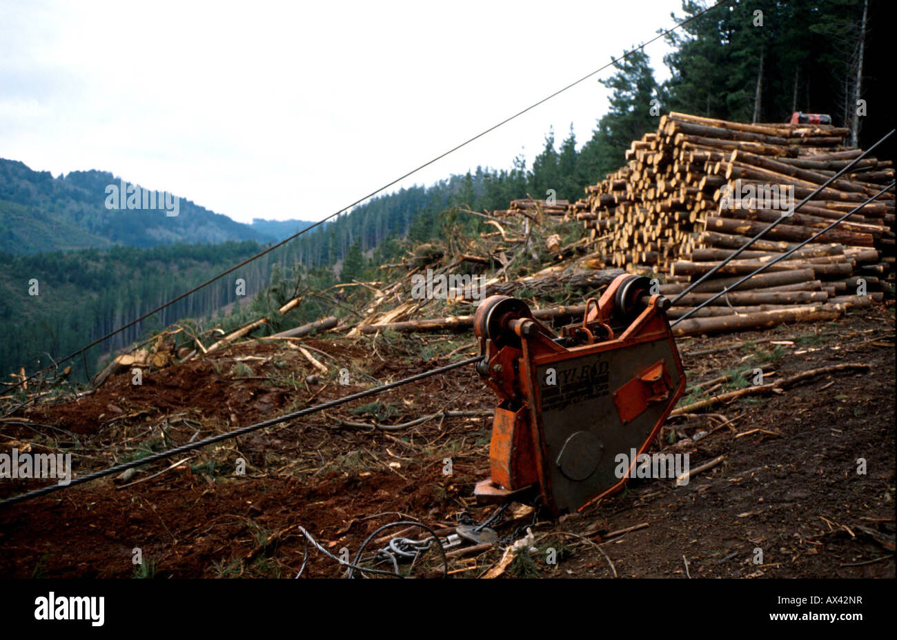 Caption CHILE LOGGING AND DEFORESTATION IN THE SOUTHERN FORESTS Photo ...