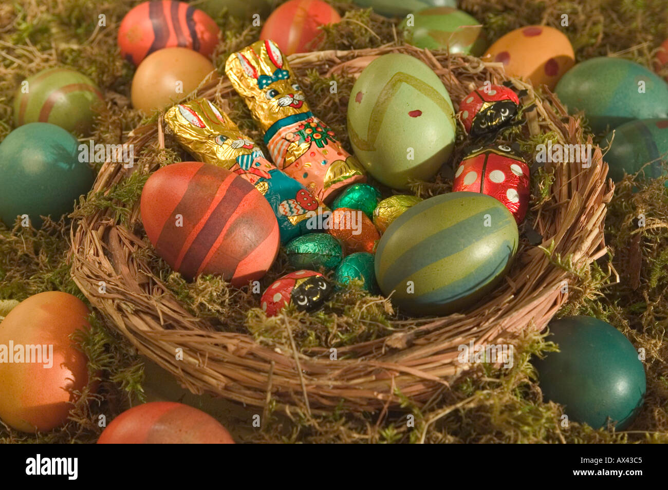 Bunte Ostereier im Osternest coloured Easter eggs in the nest Stock ...