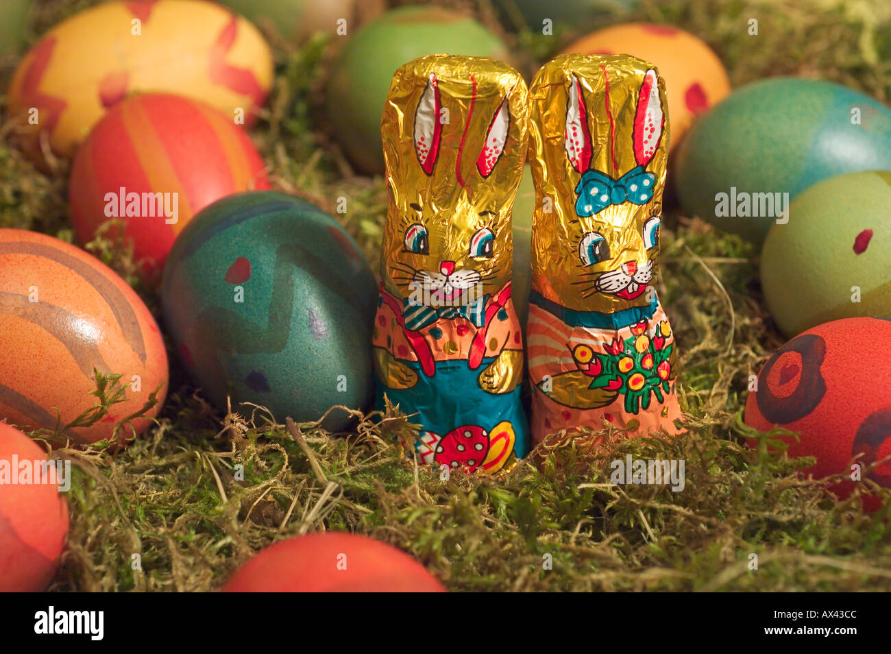 Bunte Ostereier im Osternest mit Osterhasen coloured easter eggs in the ...