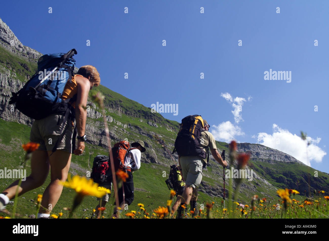 Hikers in alpine landscape, Switzerland Stock Photo - Alamy