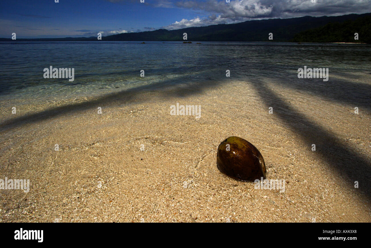 Coconut on Beach Stock Photo - Alamy