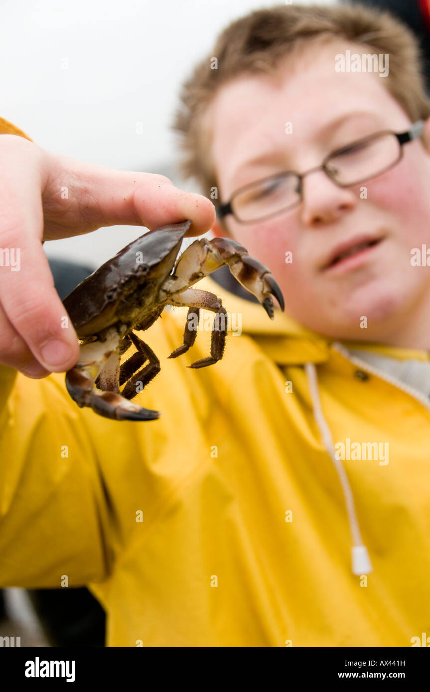 Young boy child with crab collecting and studying sea life at Dale Fort ...