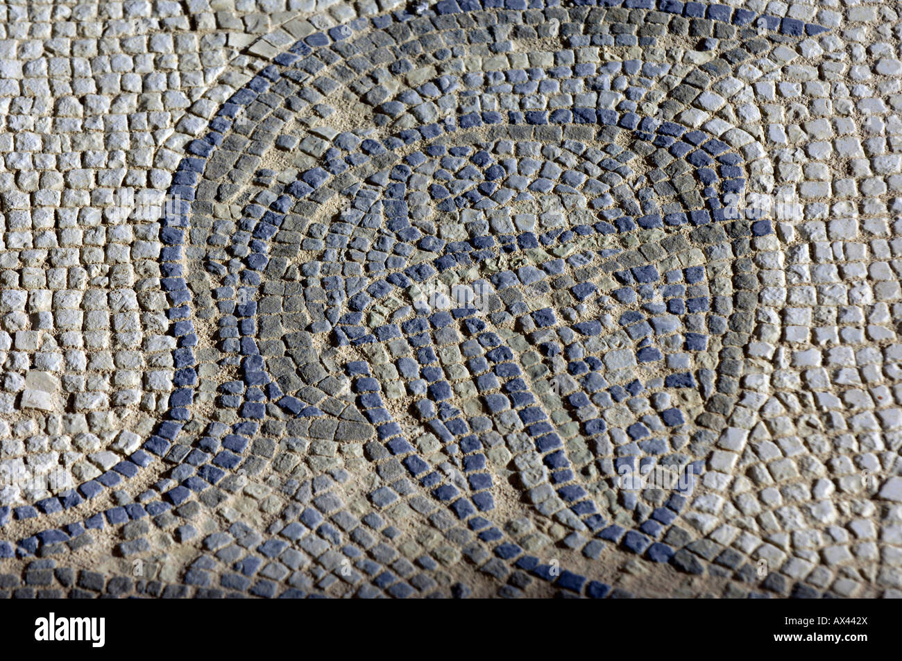 Roman gladiator mosaic floor hi-res stock photography and images - Alamy