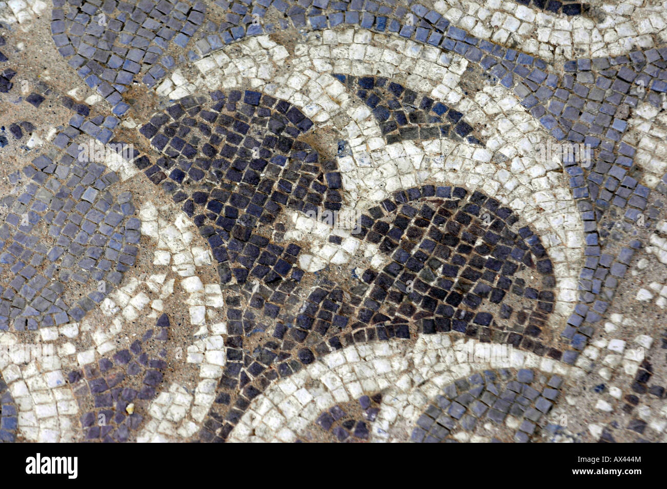 mosaic floor tiles art design ancient kourio curium roman site cyprus ...