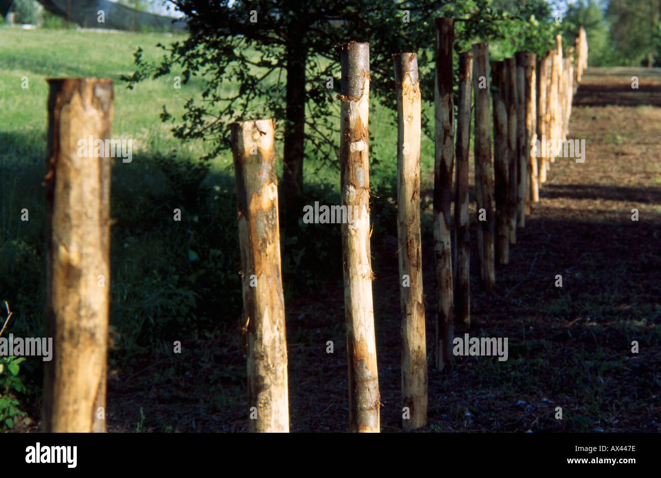 Paling fence hi-res stock photography and images - Alamy