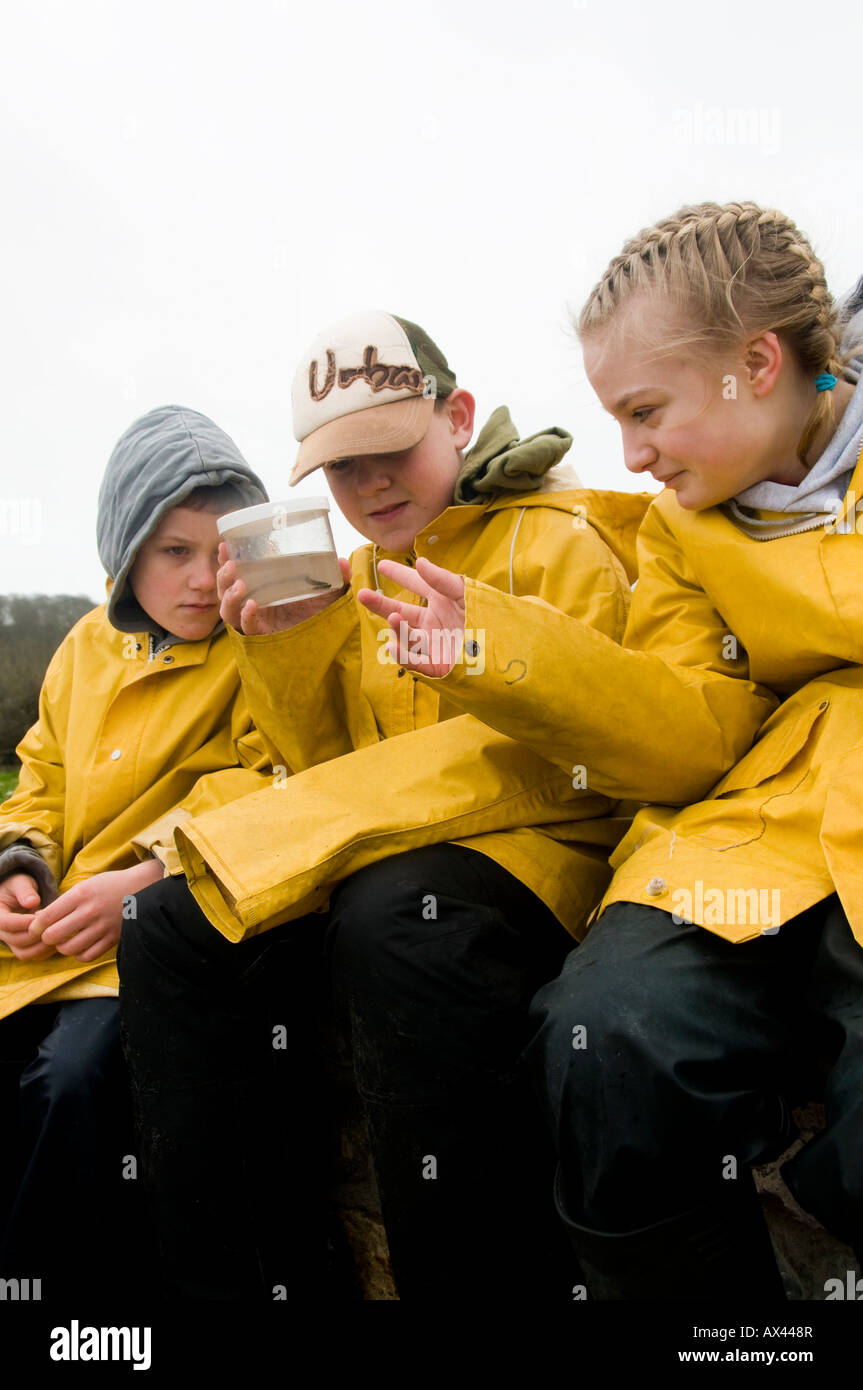 Young children collecting and studying sea life at Dale Fort Field ...