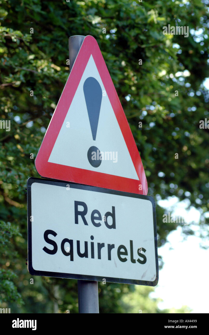 Red Squirrel Road Traffic Warning Sign on the Isle of Wight Southern UK ...