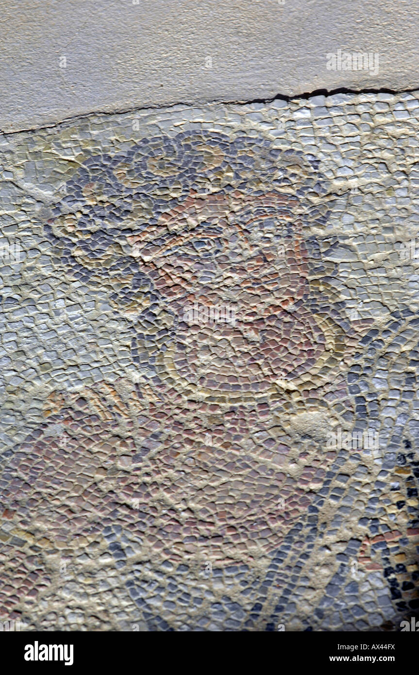 gladiator mosaic kourio curium kourion cyprus roman archaeological site ...