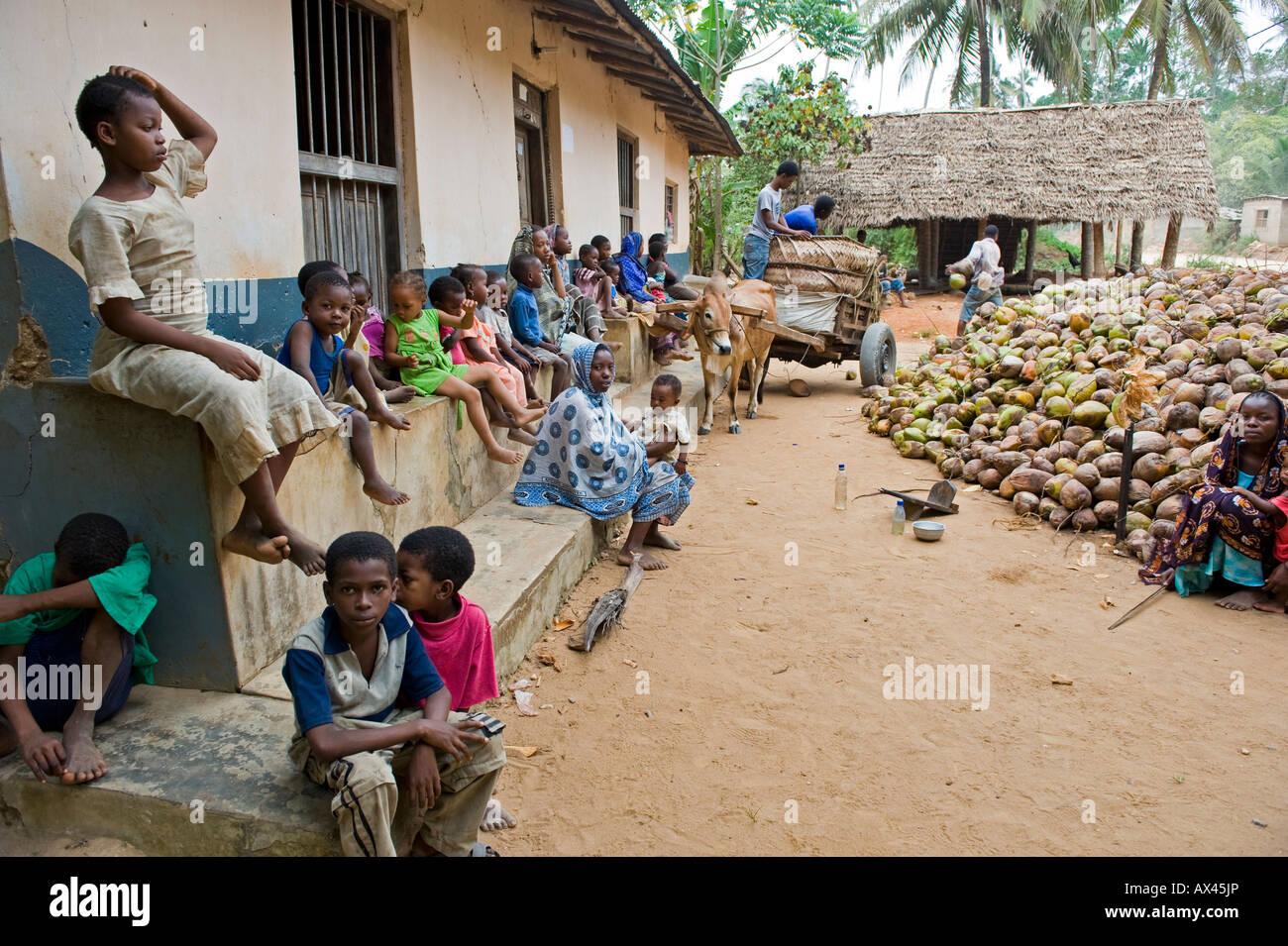 Zanzibar people and coconuts in a village of the interland Stock Photo ...