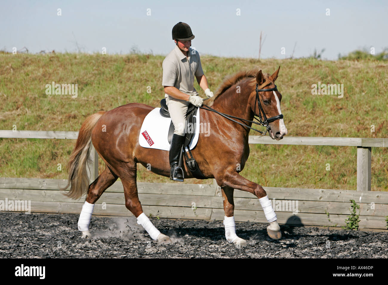 A Man schooling his horse in an outdoor riding school Stock Photo - Alamy