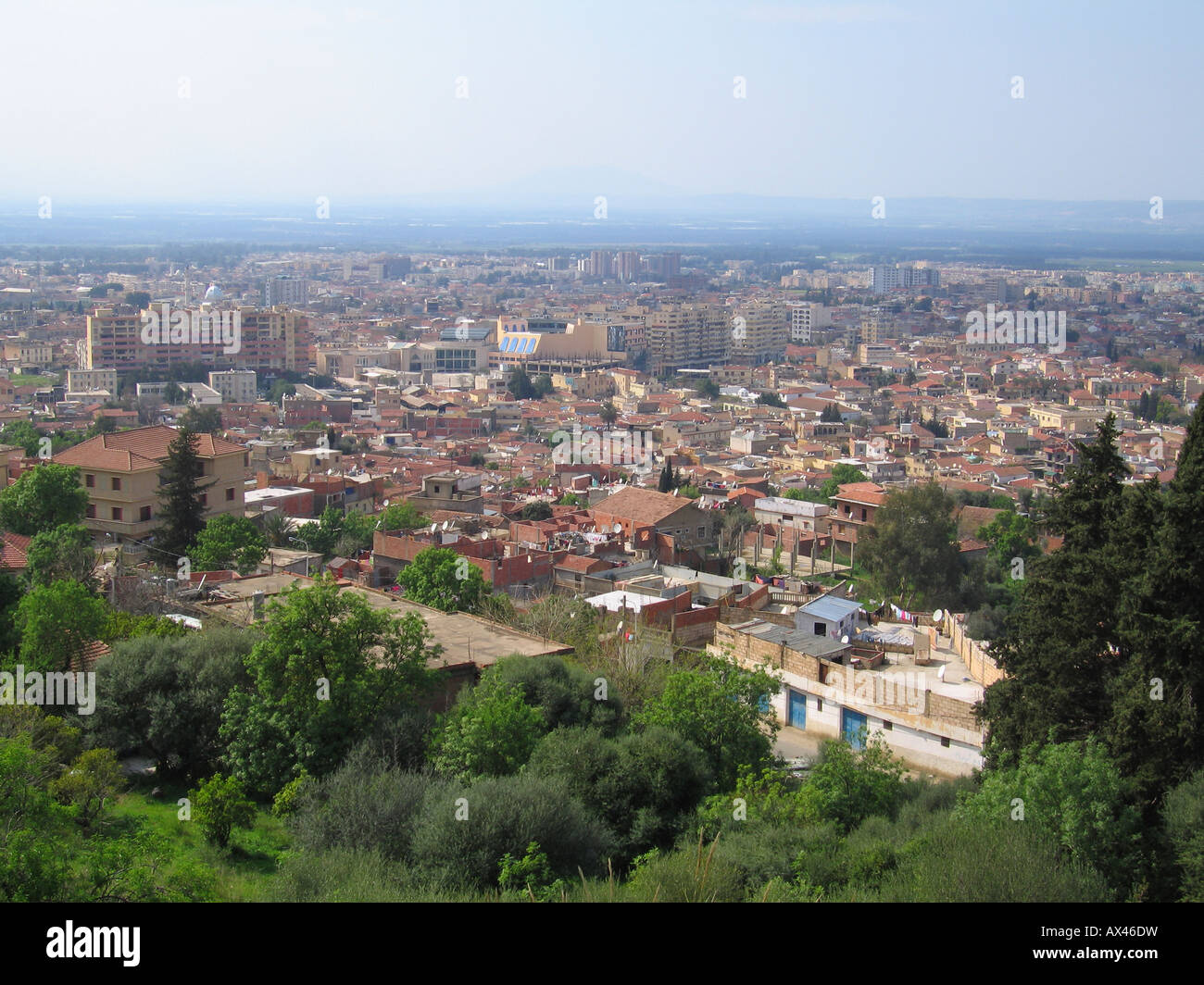 Overview of Blida town from the Chrea road - North Algeria Stock Photo ...