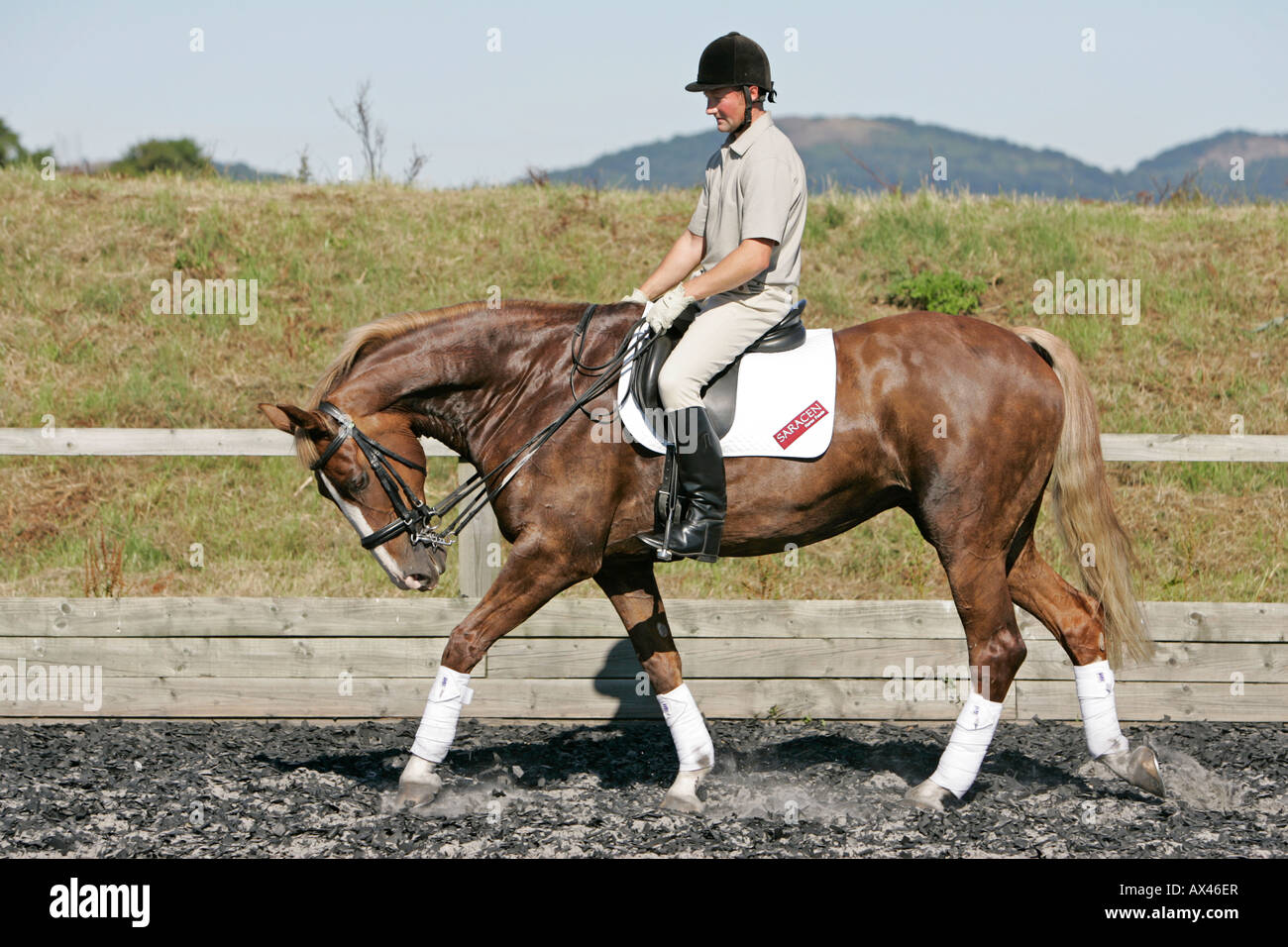 A Man schooling his horse in an outdoor riding school Stock Photo - Alamy