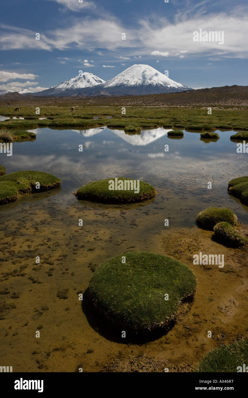 Reflection of Mount Parinacota in Lauca National Park (Chile) and ...