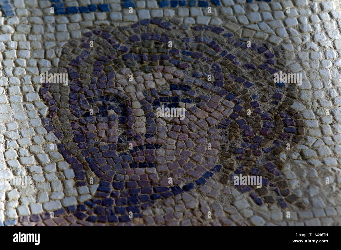 gladiator mosaic kourio curium kourion cyprus roman archaeological site ...