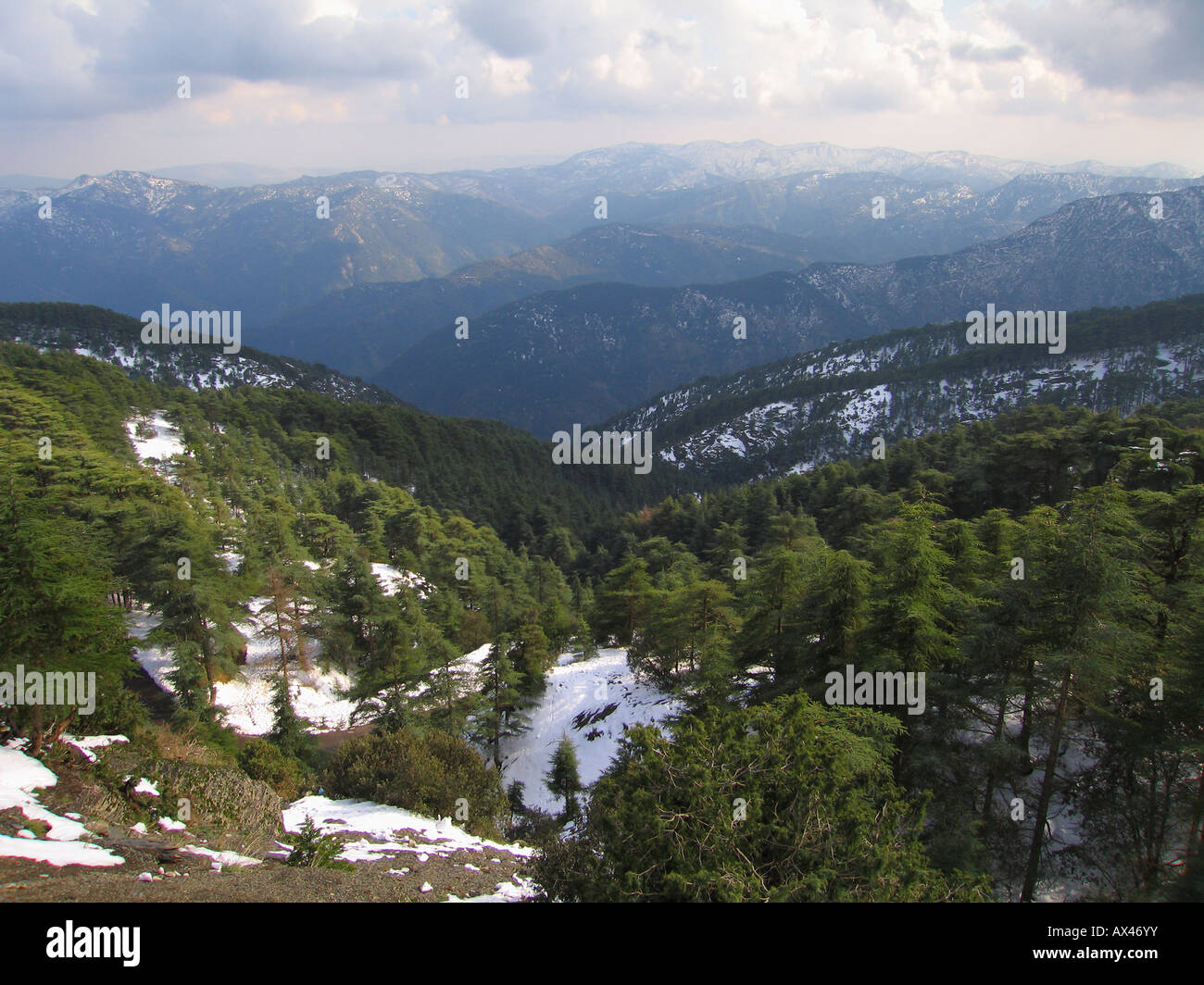 Snowed mountains at springtime, Chrea, south of Algiers town, Algeria ...