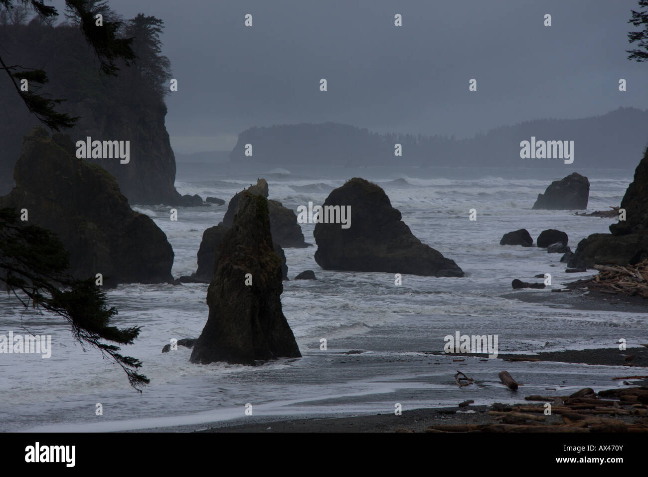 Misty Sea, Ruby Beach, Washington, USA Stock Photo - Alamy