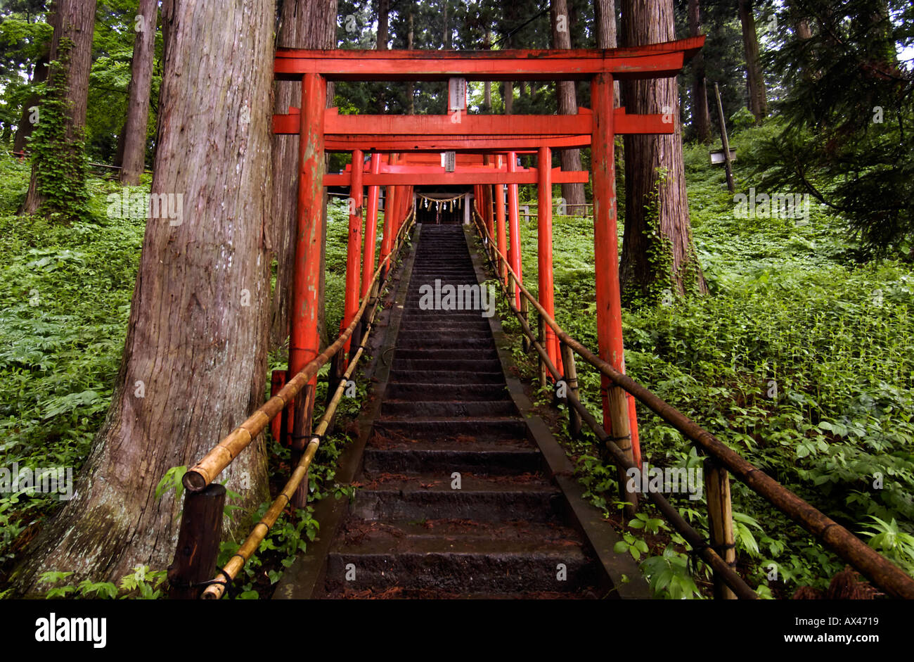 Red torii gates at Chuson Ji Temple in Hiraizumi Japan 2004 Stock Photo ...