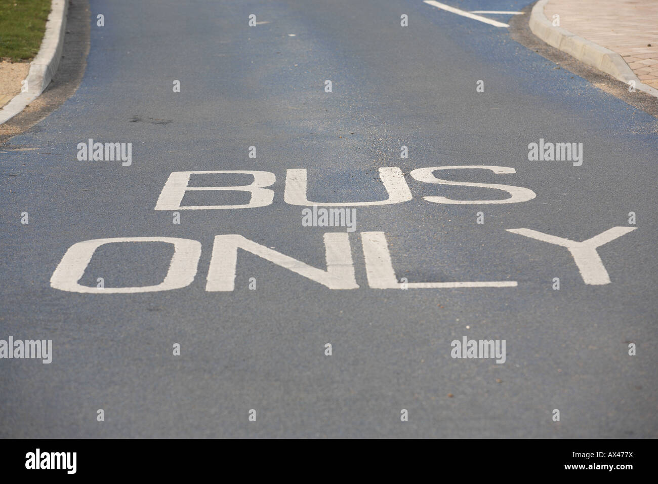 A road marked 'bus only' Stock Photo - Alamy