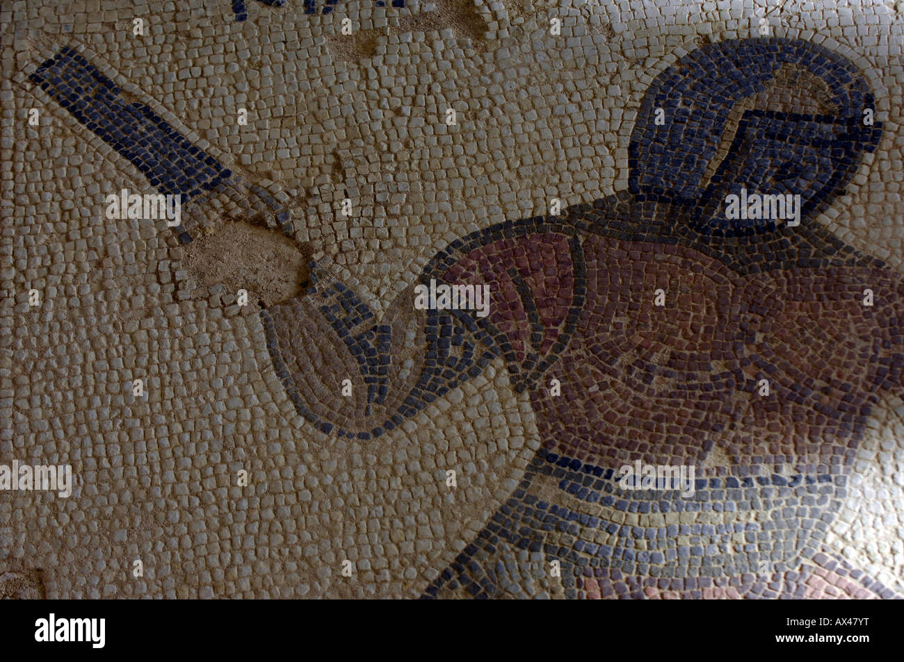 gladiator mosaic kourio curium kourion cyprus roman archaeological site ...