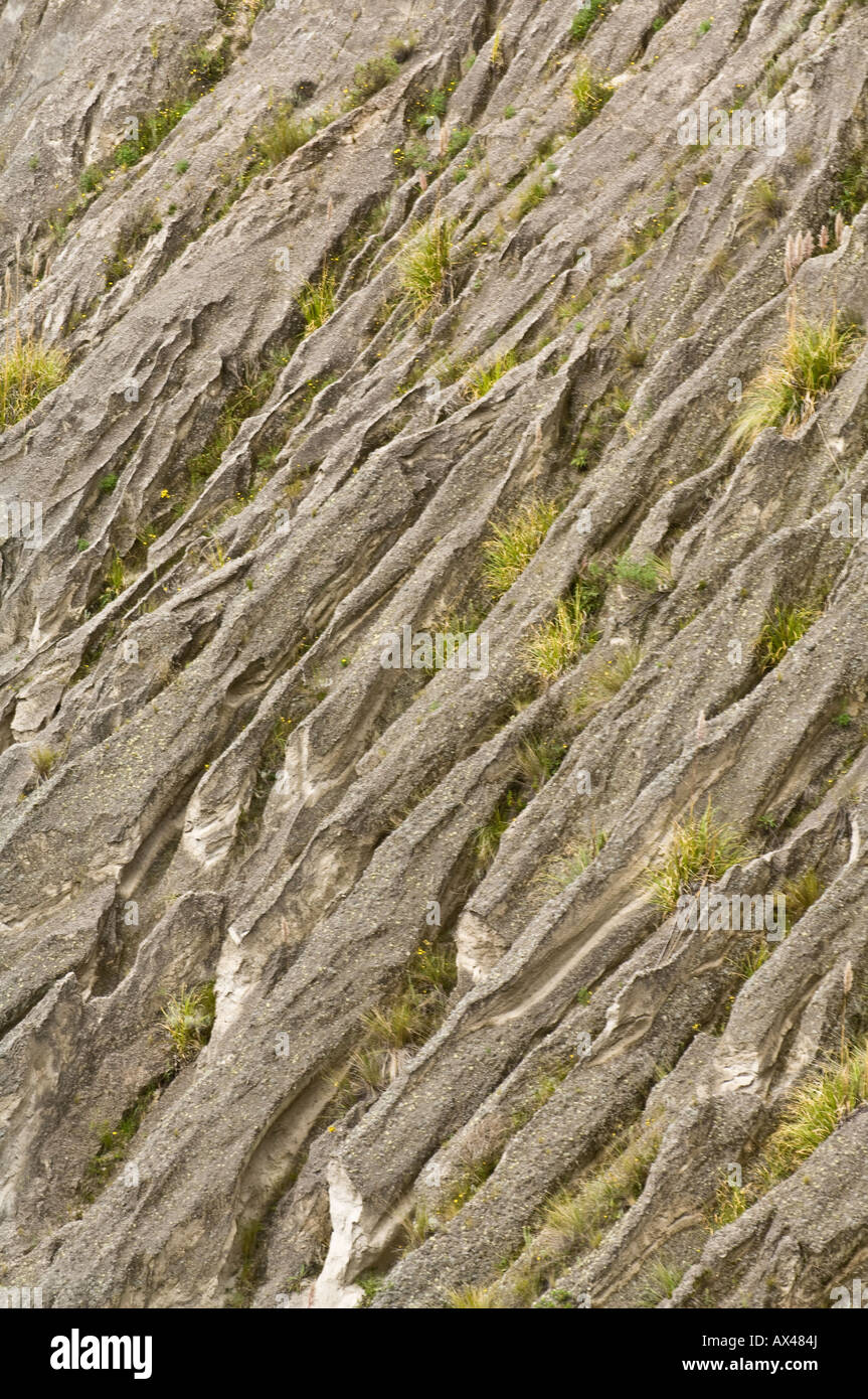 Cliff with vegetation, Ecuador Stock Photo - Alamy