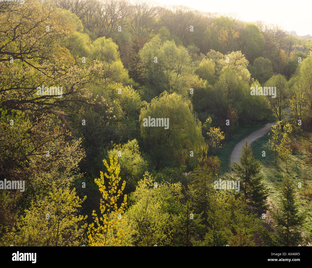 Overview of Park Stock Photo - Alamy