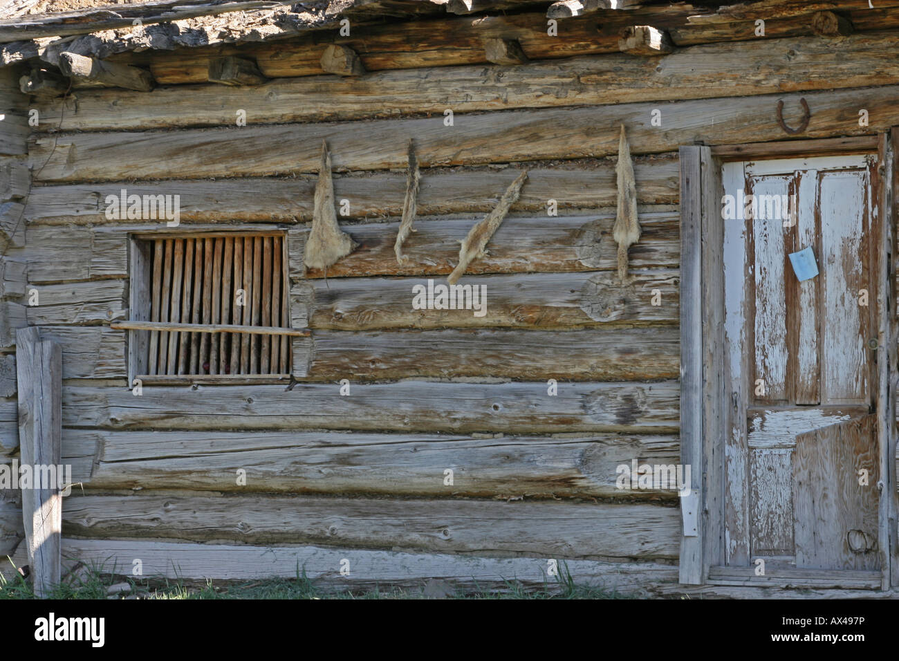 Animal skins hanging outside a log cabin Stock Photo - Alamy