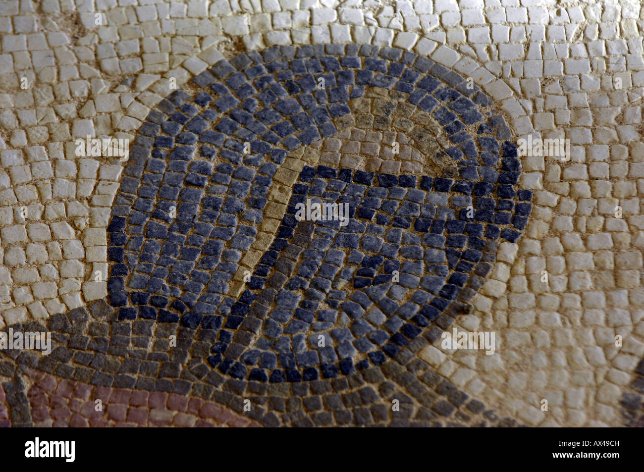 gladiator mosaic kourio curium kourion cyprus roman archaeological site ...