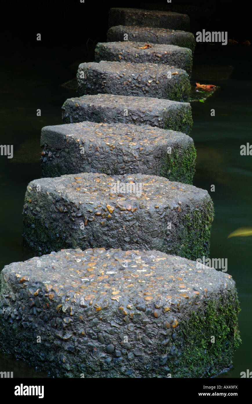 The Stepping Stones used to cross the River Mole near Box Hill Dorking ...
