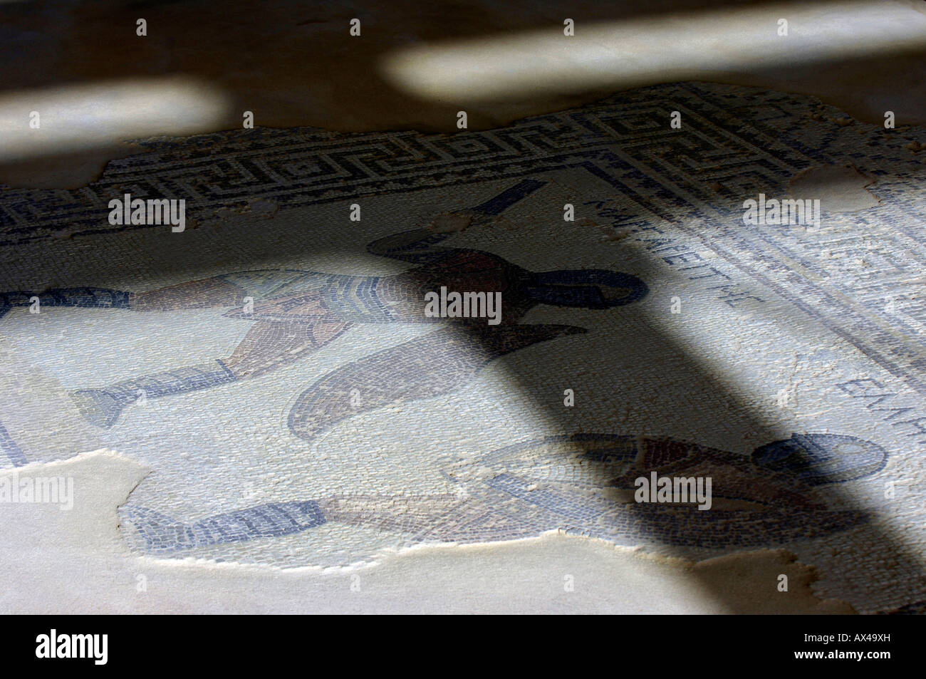 fighters gladiator house of the gladiators mosaic art design floor ...