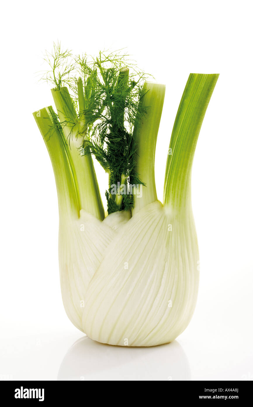 Fennel tubers hi-res stock photography and images - Alamy