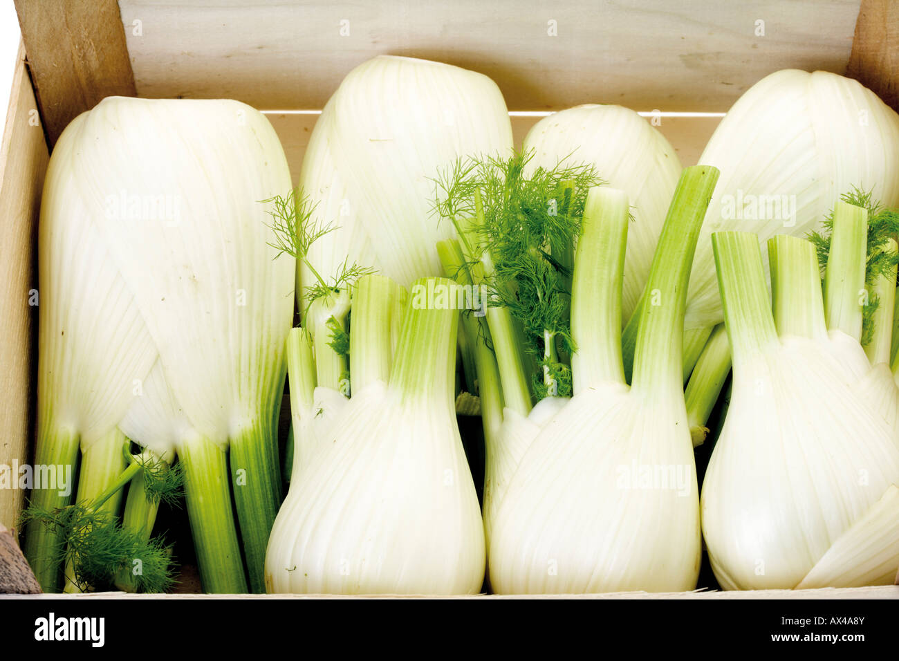 Fennels in wooden box, elevated view Stock Photo - Alamy