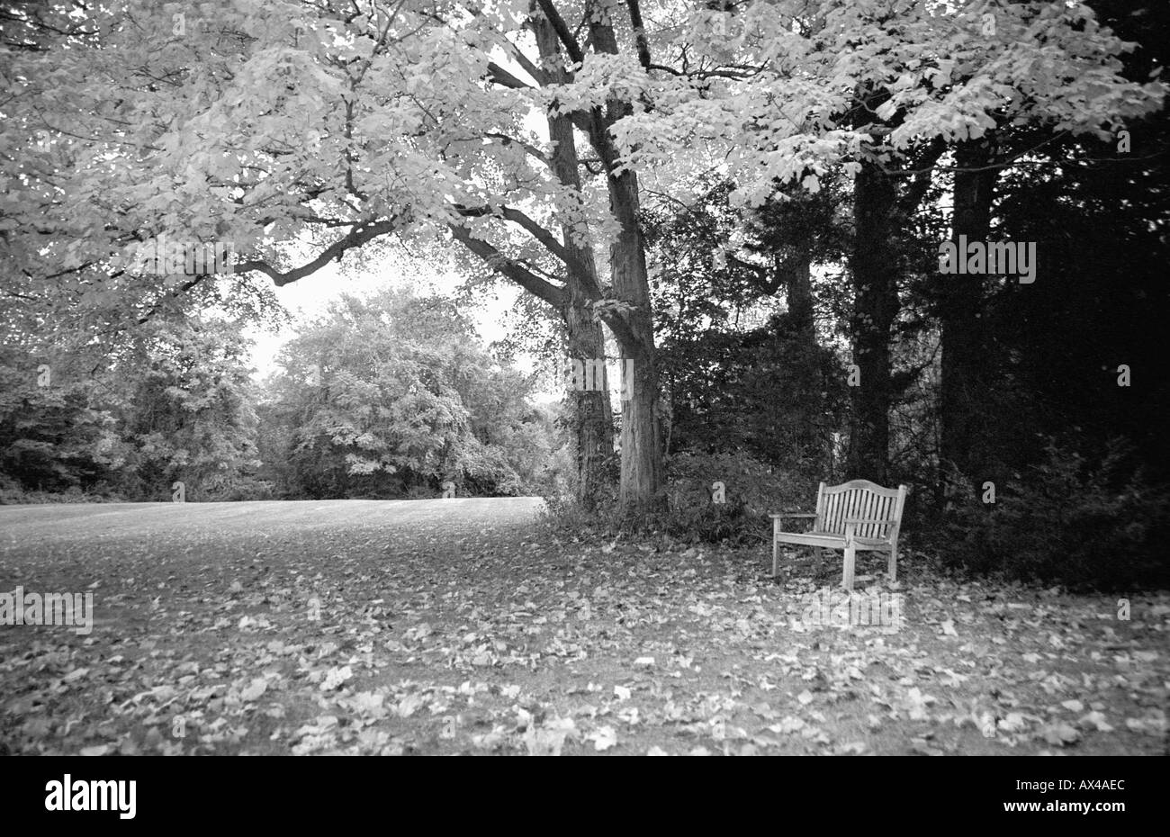 Uder tree hi-res stock photography and images - Alamy