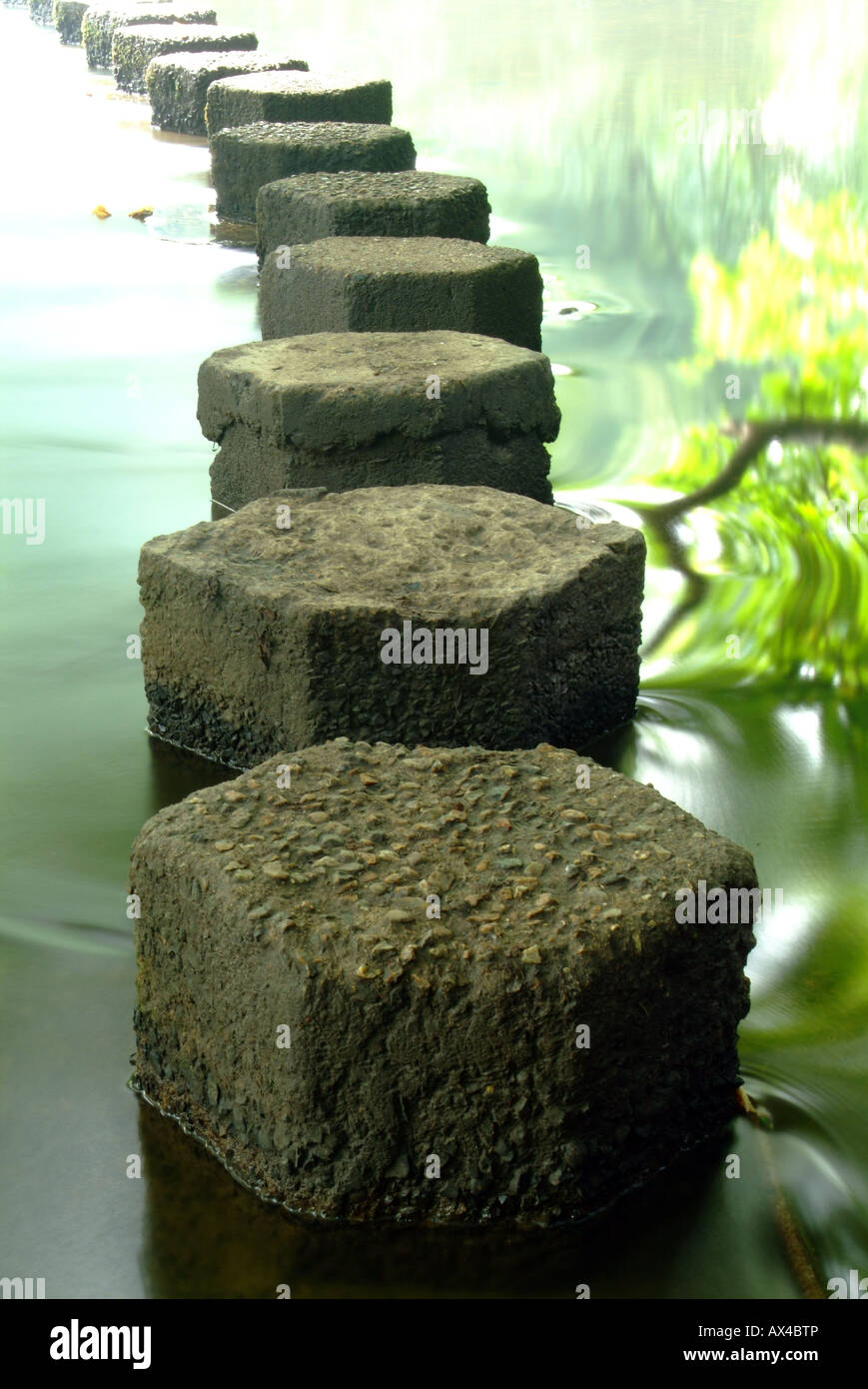 The Stepping Stones used to cross the River Mole near Box Hill Dorking ...