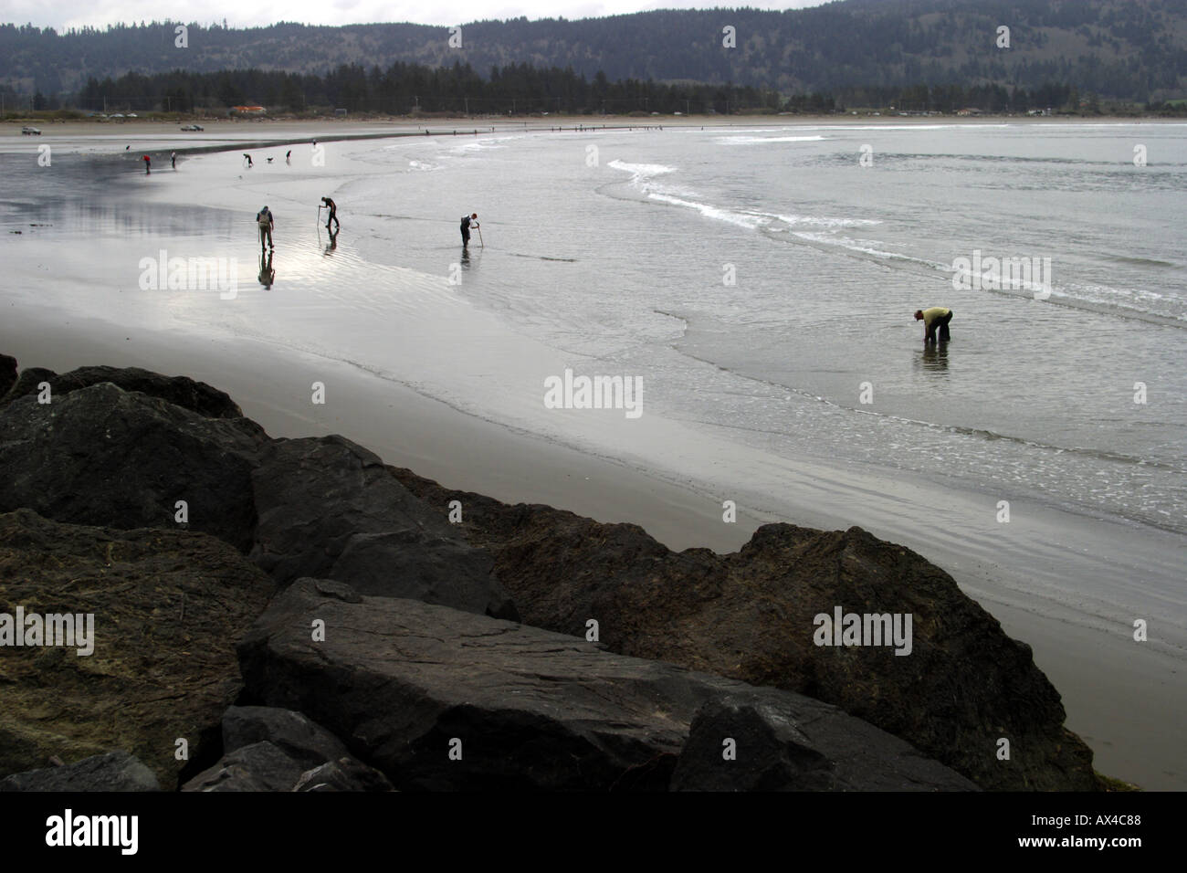 Clamming on the beach hi-res stock photography and images - Alamy