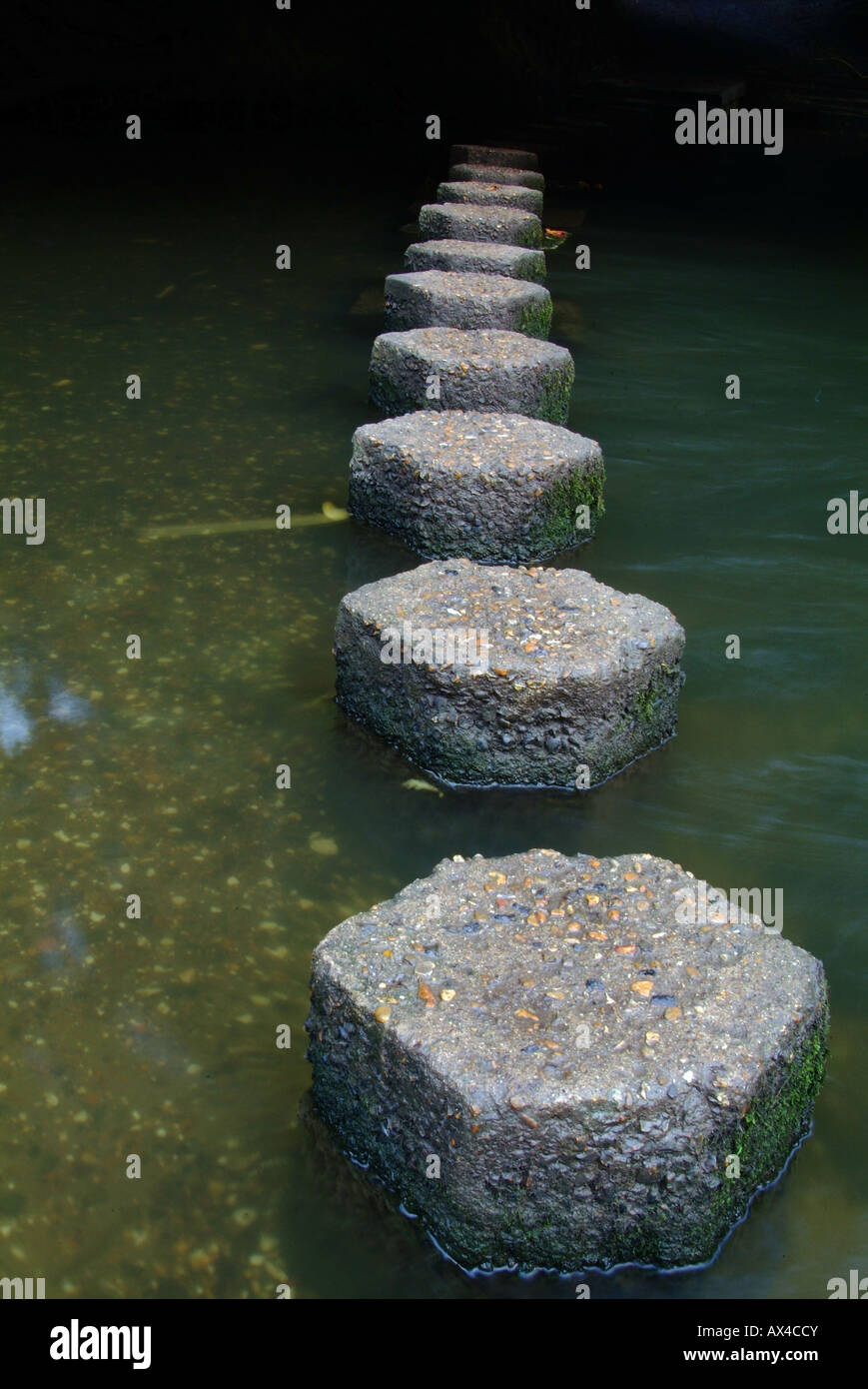 The Stepping Stones used to cross the River Mole near Box Hill Dorking ...