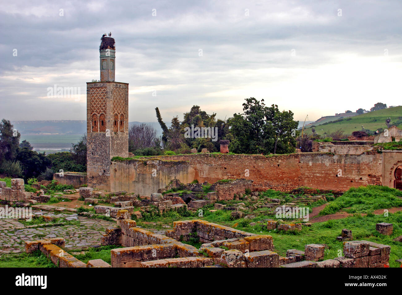 Chellah, Rabat, Morocco Stock Photo - Alamy