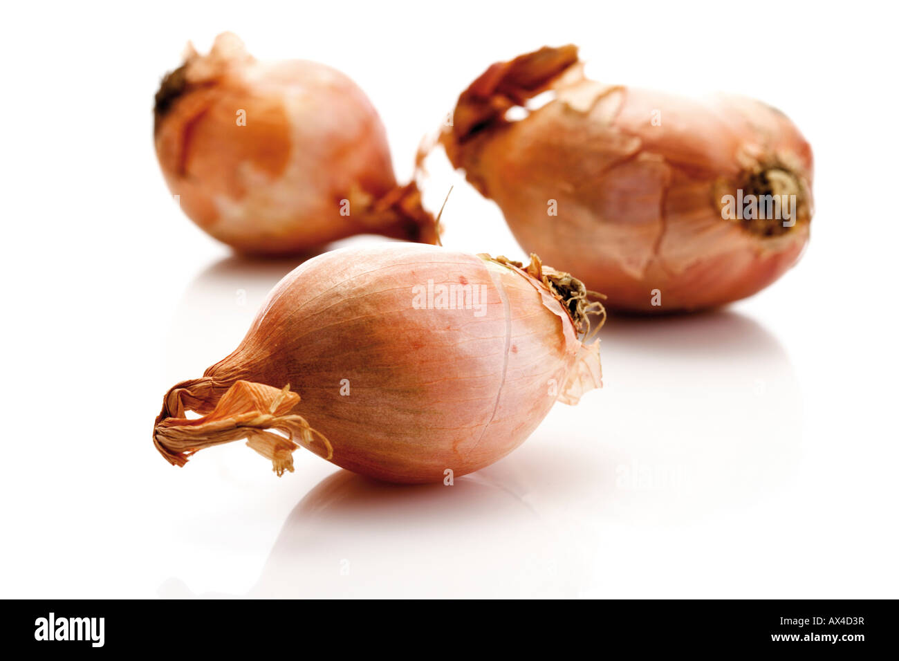 Preparing shallot hi-res stock photography and images - Alamy