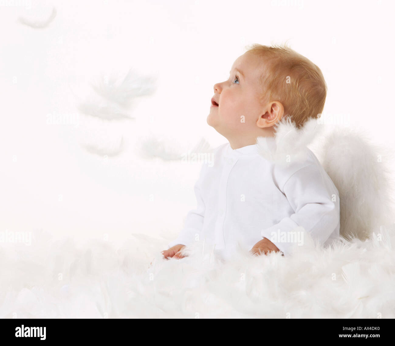 Side view angel wing hi-res stock photography and images - Alamy